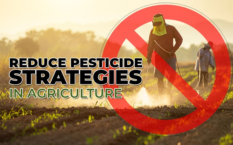 Reduce Pesticide Strategies in Agriculture - Khanuja Group Reduce Pesticide Strategies in Agriculture - Khanuja Group